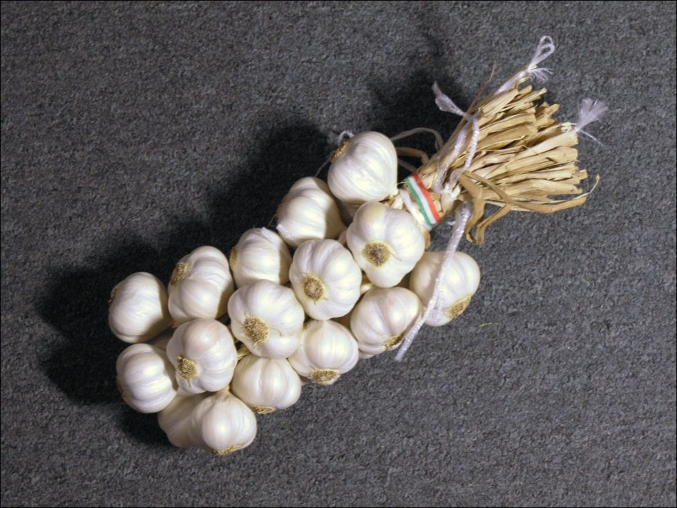Garlic Braid - Italiaregina.it